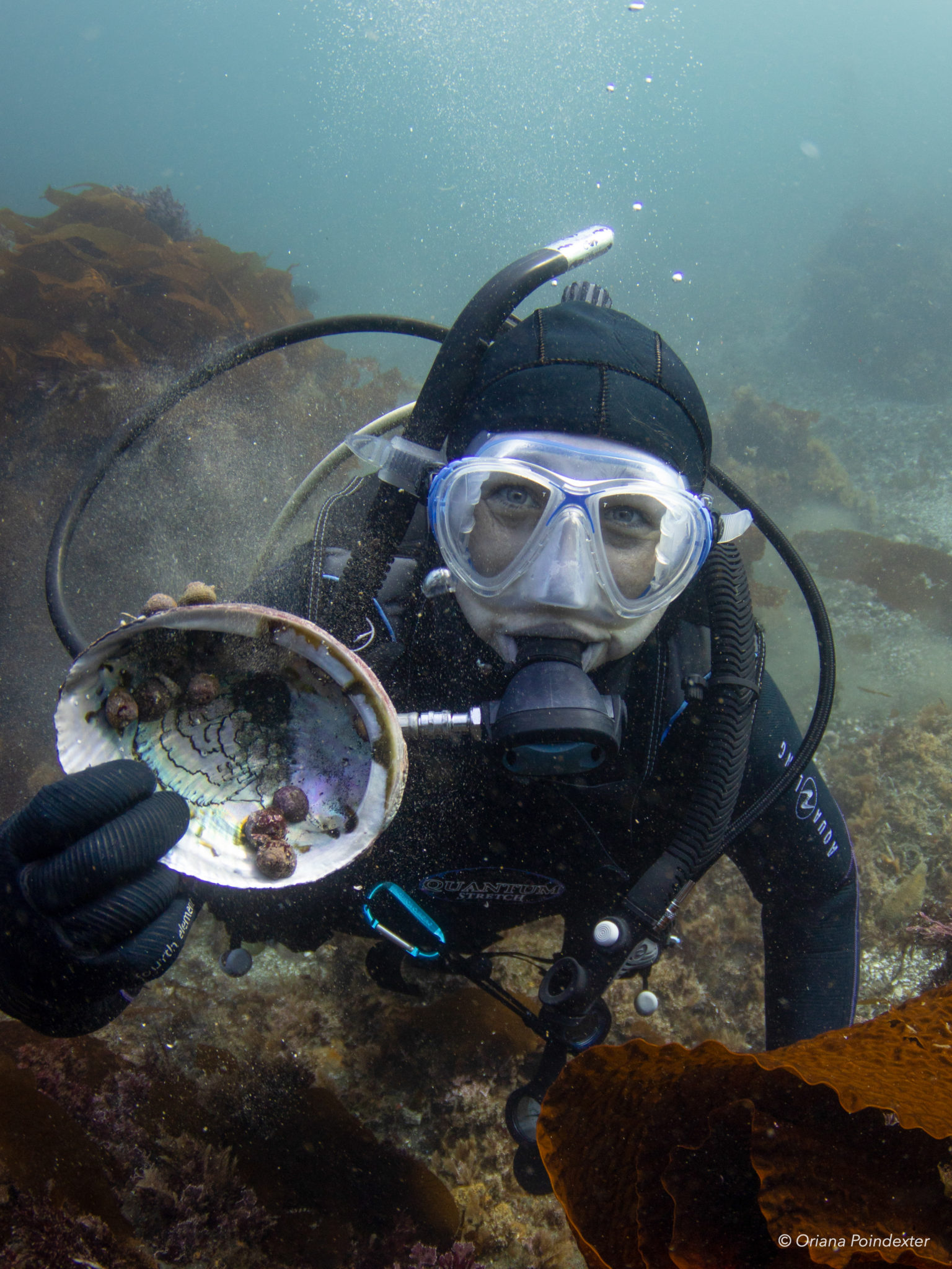 Diving into Abalone Habitat: Channel Islands National Marine Sanctuary ...