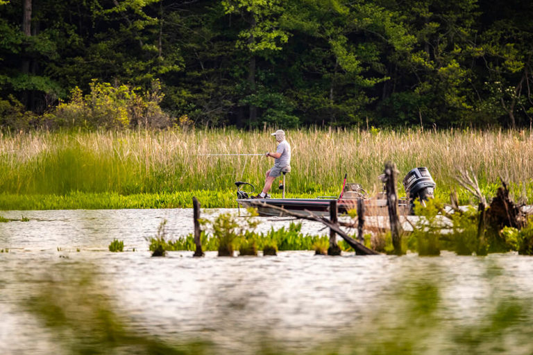 What is an Estuary? | National Marine Sanctuary Foundation