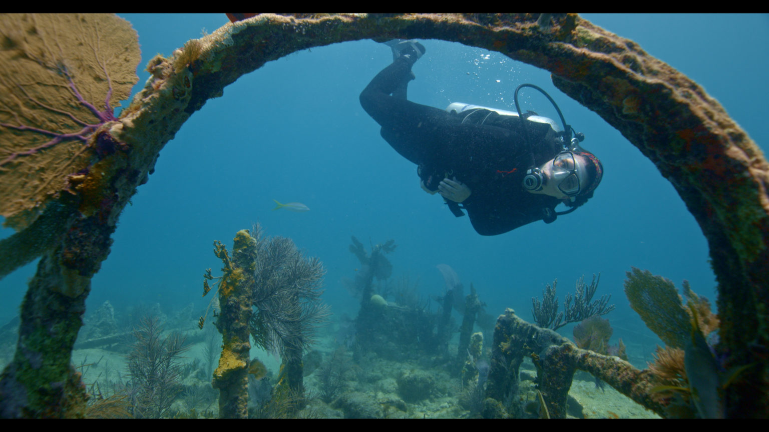 Sunken Secrets: Discover Florida Keys Shipwrecks | National Marine ...