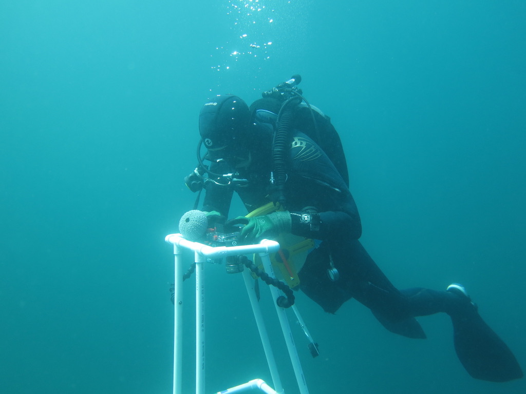 Coastal Careers: Science Communication, Media, and Exploration ...