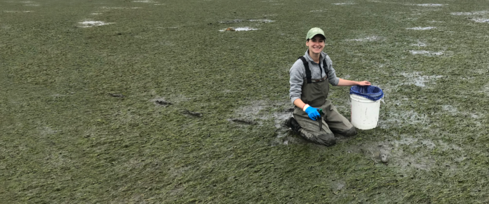 Nearshore SAVE Workshop | National Marine Sanctuary Foundation