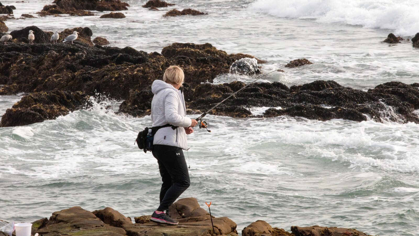 Monterey Bay National Marine Sanctuary Guide | National Marine ...