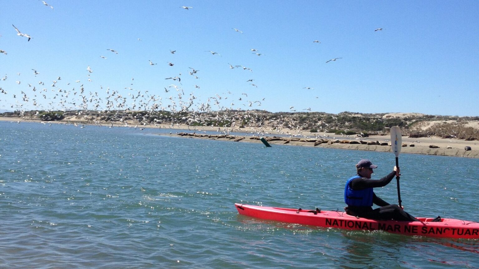 Monterey Bay National Marine Sanctuary Guide | National Marine ...