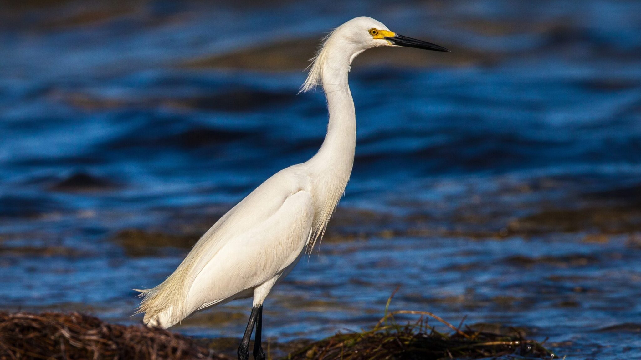 Florida Keys | National Marine Sanctuary Foundation