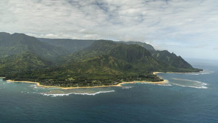 Hawaiian Islands Humpback Whale | National Marine Sanctuary Foundation